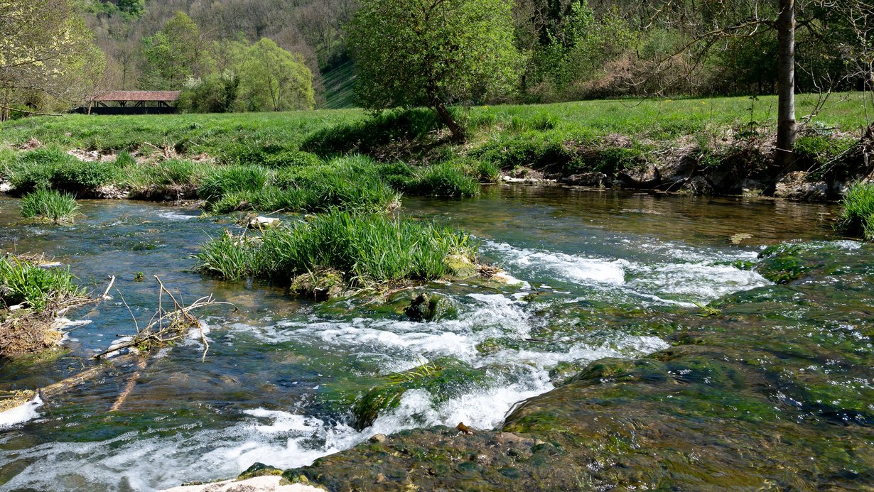 Geschäftsstelle Gewässerökologie | Regierungspräsidien Baden-Württemberg